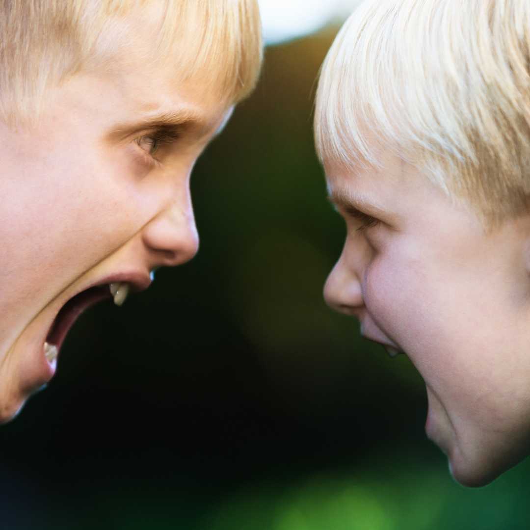 How to Avoid Sibling Mutant Mayhem with P.E.T. - Gordon Training ...